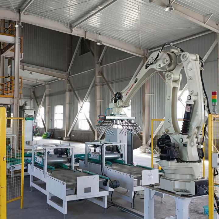 Robot Palletizer - Efficient Bag Packing Line Solutions