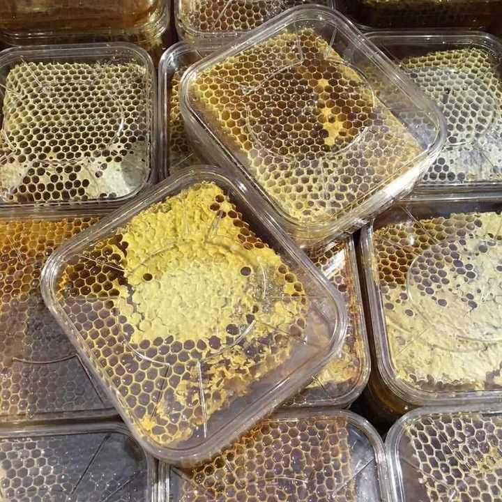 Pure Honeycomb - Natural Sweetness from Wild Bees in Vietnam
