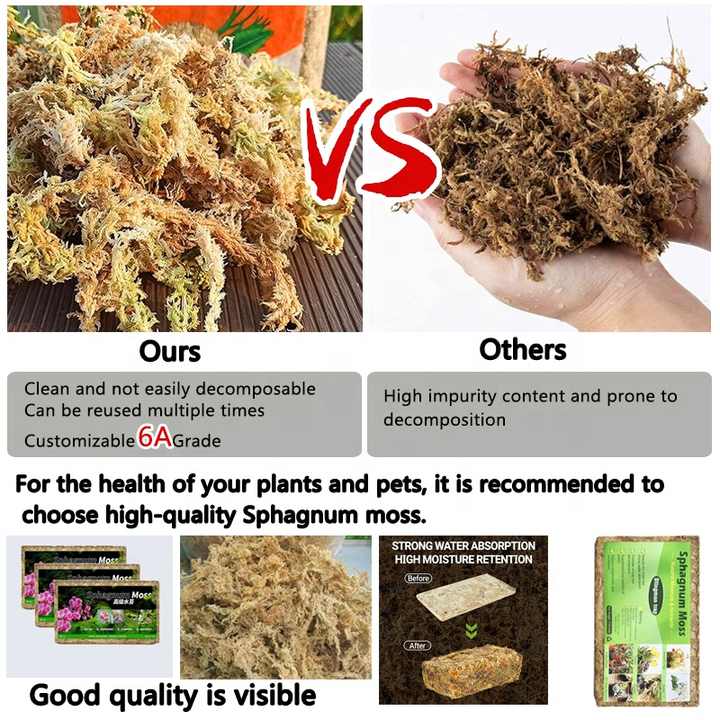 Factory price dried long fiber sphagnum mMoss 75g 100g 150g 200g ...