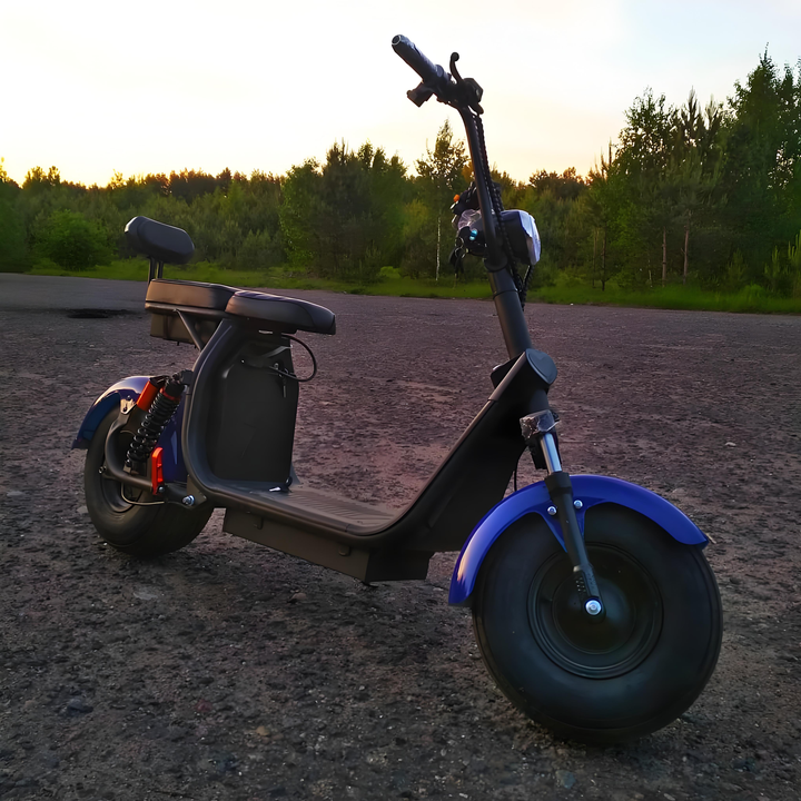 High-speed 2024 Citycoco Electric Bike With Fat Tires And Advanced ...