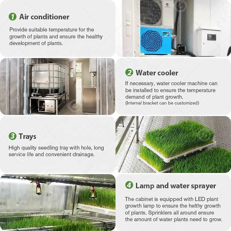 How to Choose the Best Hydroponic Fodder System: A Complete Buyer's Guide