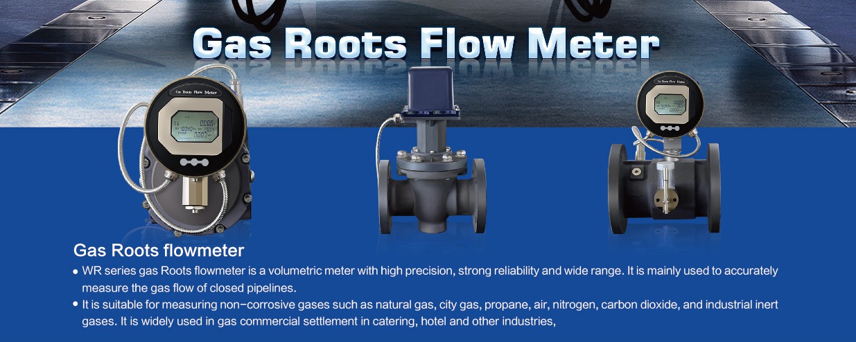 Wr Series Rotary Gas Meter Gas Flowmeter - Buy Gas Flowmeter,Electronic ...