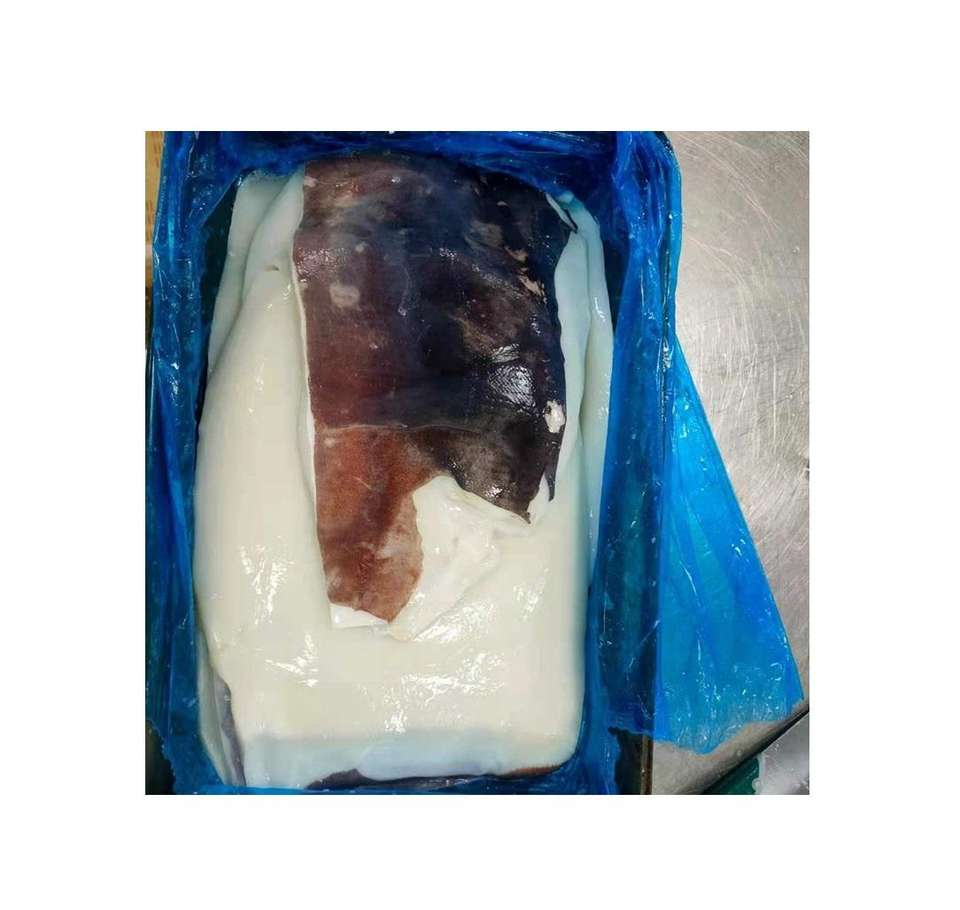 Whole Frozen Squid in Bulk , Sea Fresh Quality, Strict Sorting, Best ...