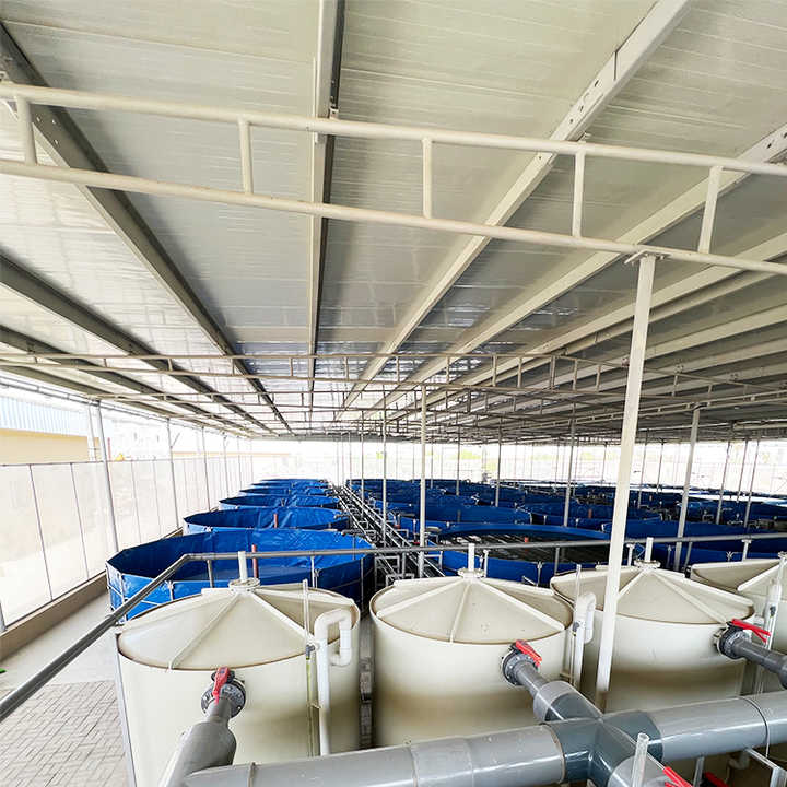 Smart Indoor Recirculating Aquaculture System for Tilapia Freshwater ...