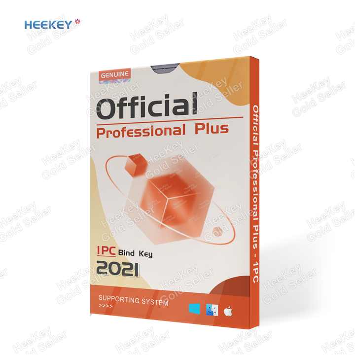 Ms 2021 Professional Plus Bind Key 1 Pc Pp Genuine Retail License Code ...