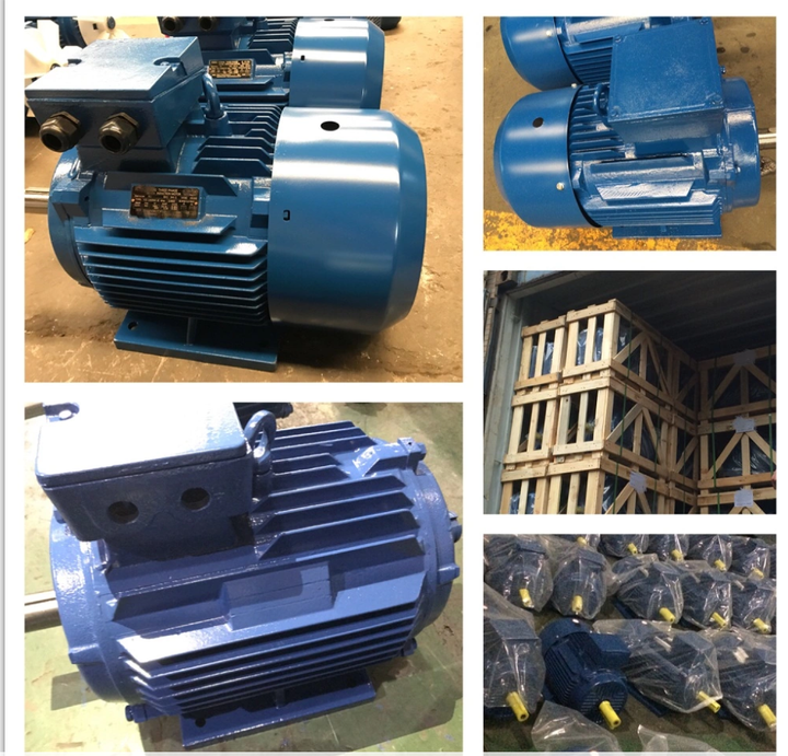 Y2-112M-2 4kw 5.5hp 2890r/min 50hz Three-Phase Motor