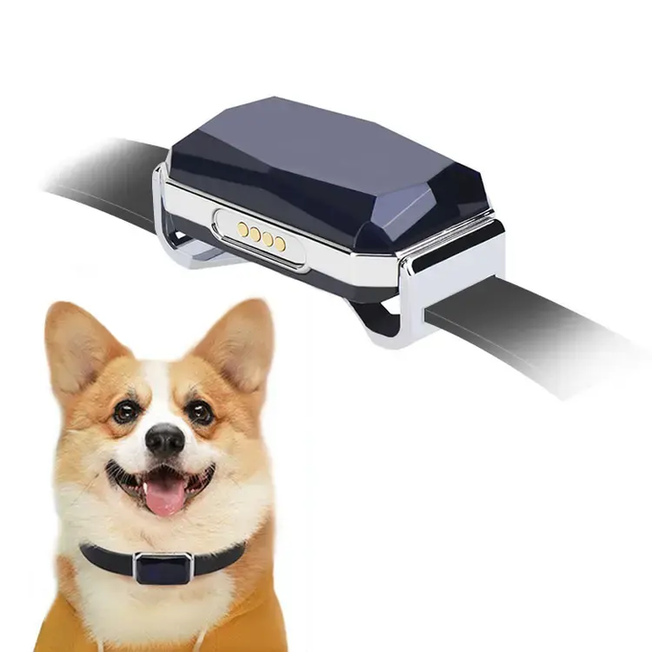 Pet Smart GPS Tracker - Real-Time Pet Tracking Solutions