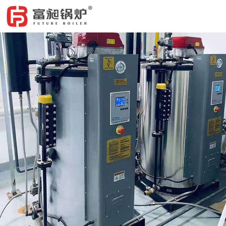 Efficient City Gas Steam Boiler for Home & Restaurant