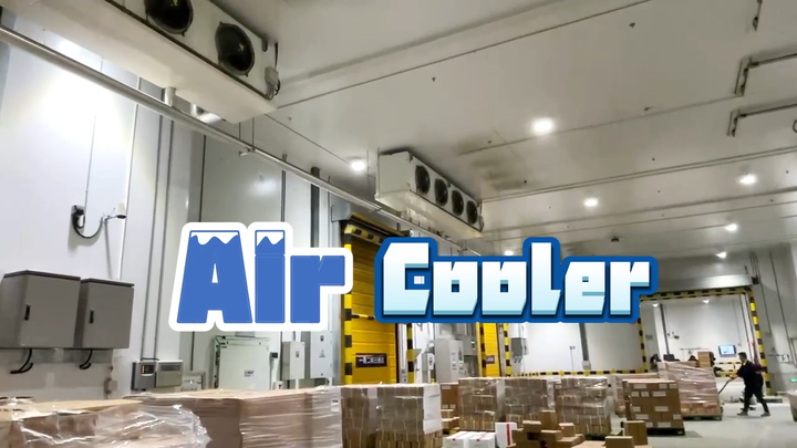 Ceiling-mounted Air Cooler Evaporator for Cold Storage