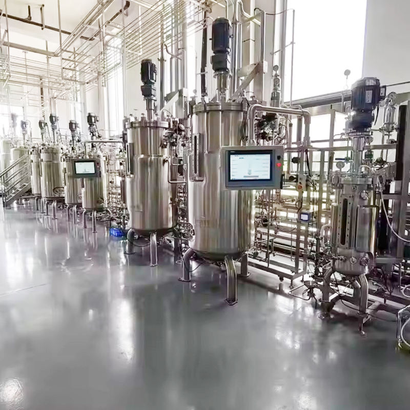 GMP PLC Controlled Stainless Steel Bioreactor 50-15000L