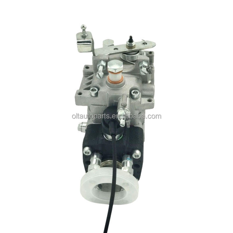 Diesel VE Fuel Injection Pump 196000-5070 8 VE6/12F1100RND507 32B65 ...