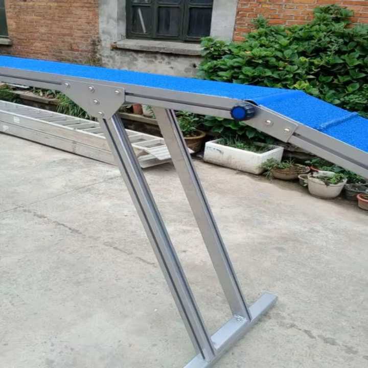 12FT Dog Agility Long-Walk Climb Ramp Log Bridge Dog Exercise Equipment ...