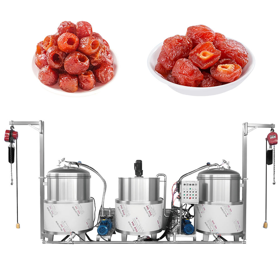 BL-JT-50 Food Grade Vacuum Sugar Soaking Machine for Food Factories ...