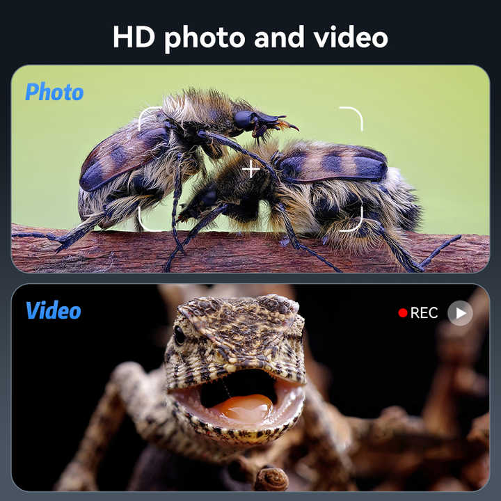 Inskam 330 5MP Digital Microscope with 1200X Magnification & 7" LCD ...