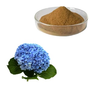 Purchase Vetted kidney stones at Enticing Prices - Alibaba.com