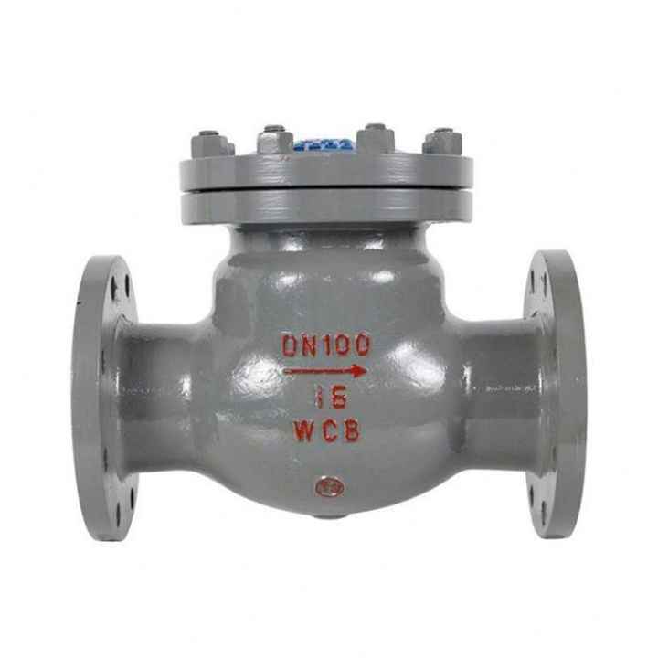 DN1500 Ductile Iron Double Door Flange Swing Check Valve| Alibaba.com
