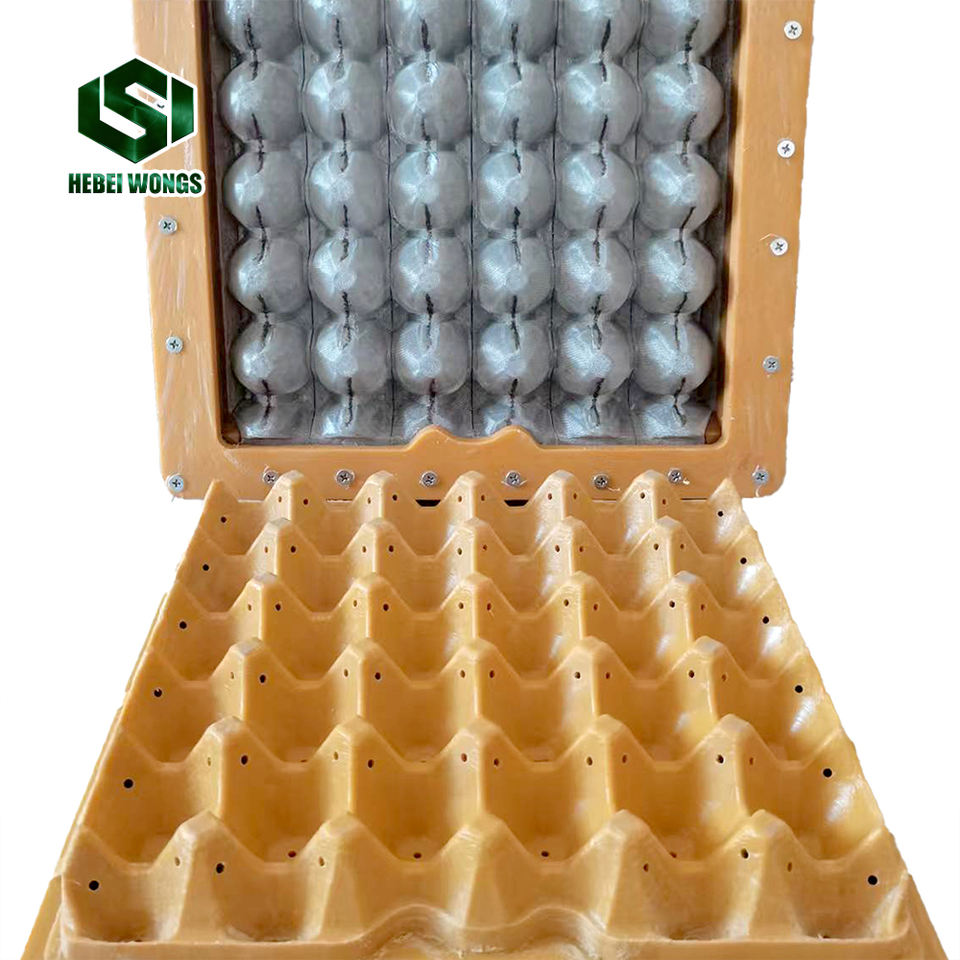 Wongs Customized Egg Tray Mold Design Professional Aluminum ABS ...
