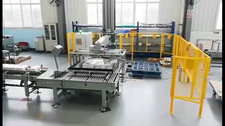 Easy Cobot Carton Palletizer/Automatized Paletizer/XYZ Palletizer ...