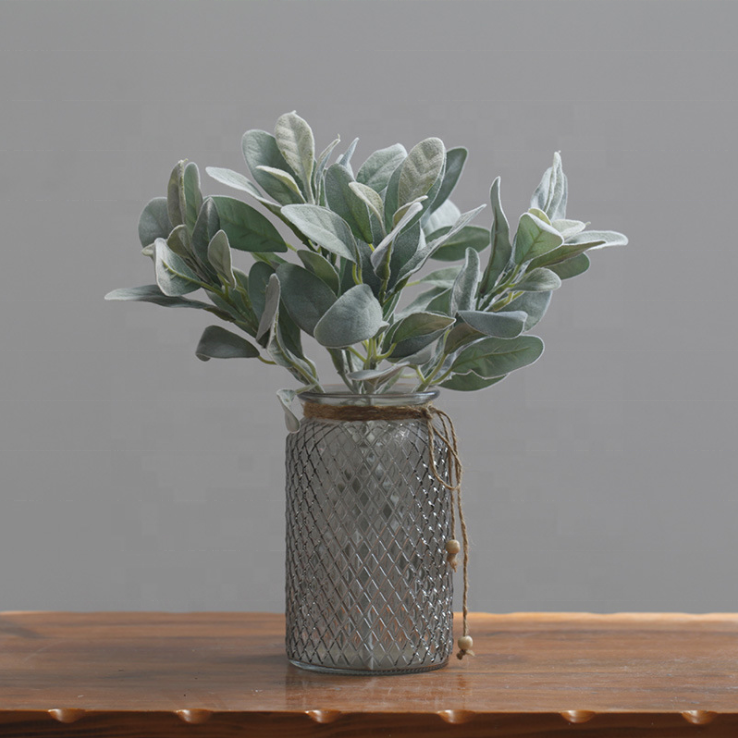 How to Choose the Best Lambs Ear Greenery for Your Floral Arrangements