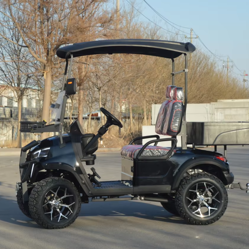 Quiet Operation 2 Passenger Off Road Electric Utility Golf Cart with ...