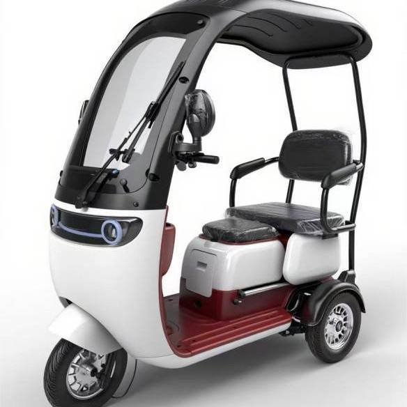 Electric Cargo Tricycle 3 Wheel Passenger Bike Adult 600W 1200W Motor ...