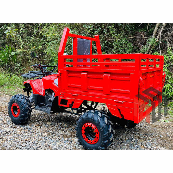 Shengmiao 4WD off-Road Utility Vehicle - Durable & Versatile