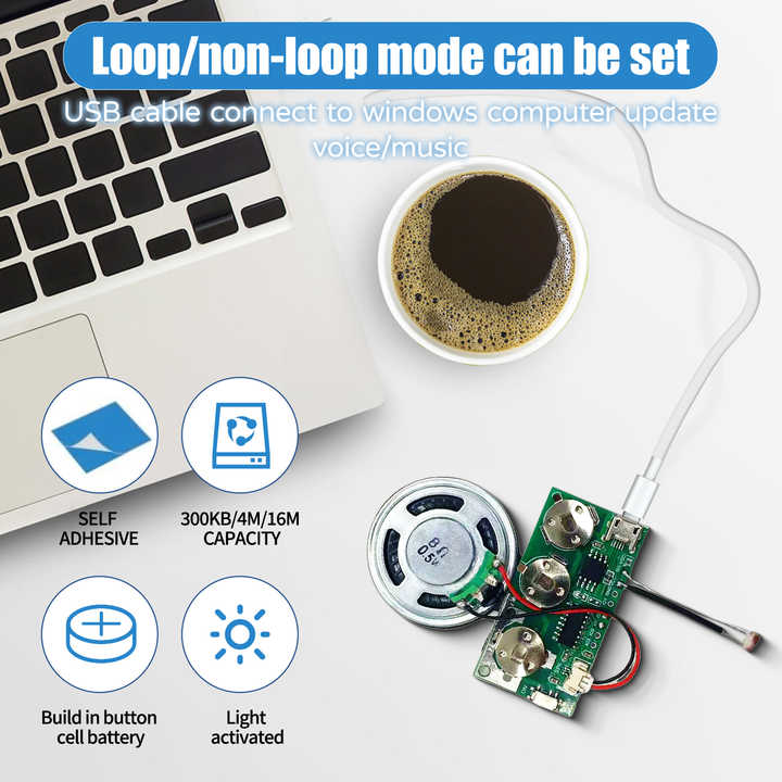 Custom Programmable 16M USB Recordable Light Sensor Music Voice Module ...