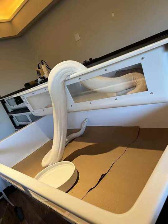 Durable Snake Breeding Rack: PVC Reptile Enclosure with Enhanced ...