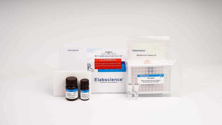 NAD+/NADH Colorimetric Assay Kit (WST-8)| Alibaba.com