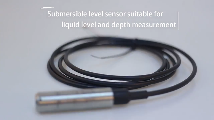 Holykell HPT604 Submersible Water Level Sensor Probe