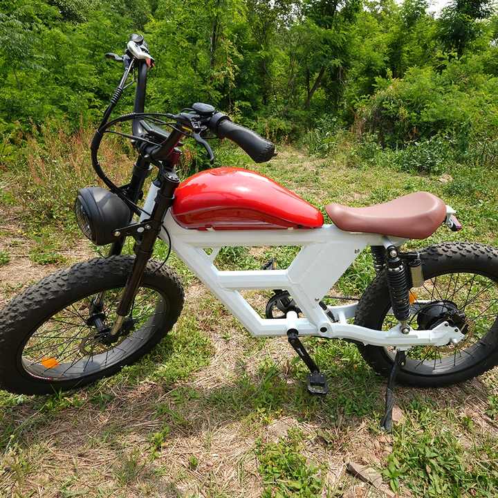 Aimos 24 Inch 48v 1000w Electric Bicycle Full Suspension Fat Tire off Road Electric Bike ...