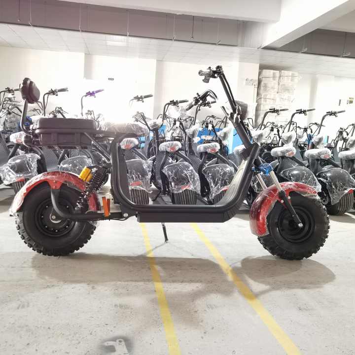 2800W Off Road Electric Scooter - Powered Electric Scooter
