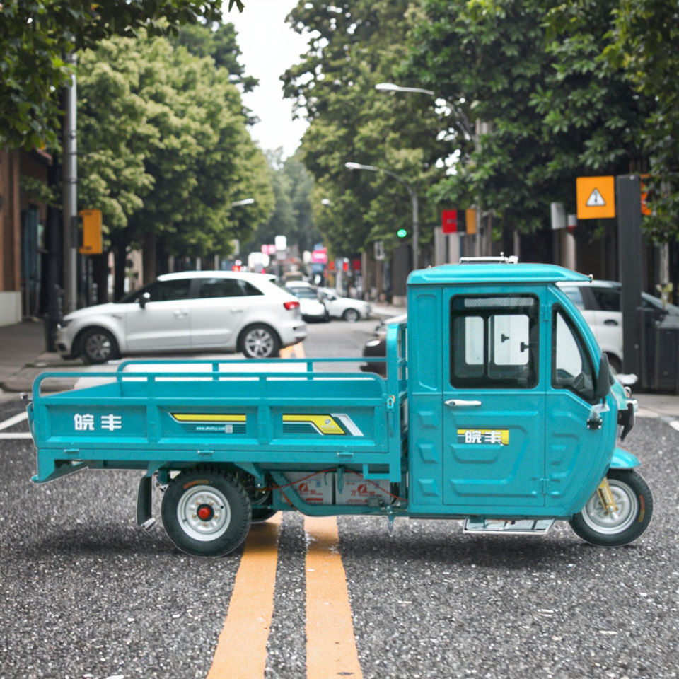 WF1500DZH Custom Adult Heavy Duty Enclosed Farm Cargo 3 Wheel Trikes ...