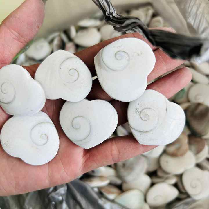 Bulk Wholesale High Quality Shiva Eye Shell Heart Shape Reiki Fengshui ...