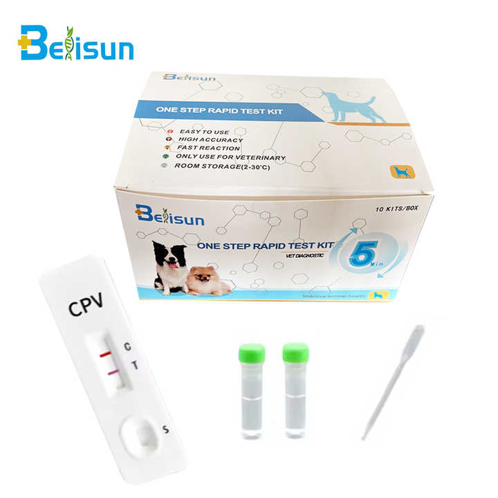 Quick Leishmania Antibody Test for Dogs Detecting Sandfly-Transmitted ...