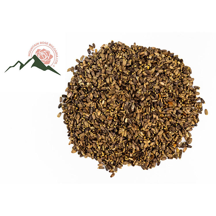 How to Choose Garden Vegetable Seeds: A Complete Buying Guide