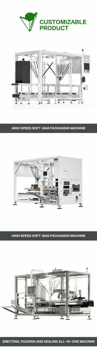 High-Speed Parallel Robotic Case Packer Case Packing Machine for ...