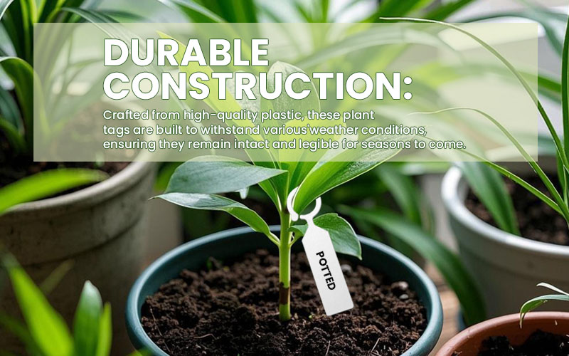 How to Choose the Best Printable Plant Tags for Your Garden