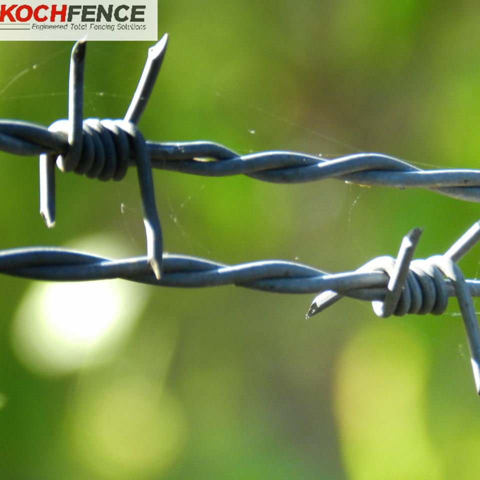 Manufacturer Galvanized Steel Barb Wire for Fence Security Wire ...