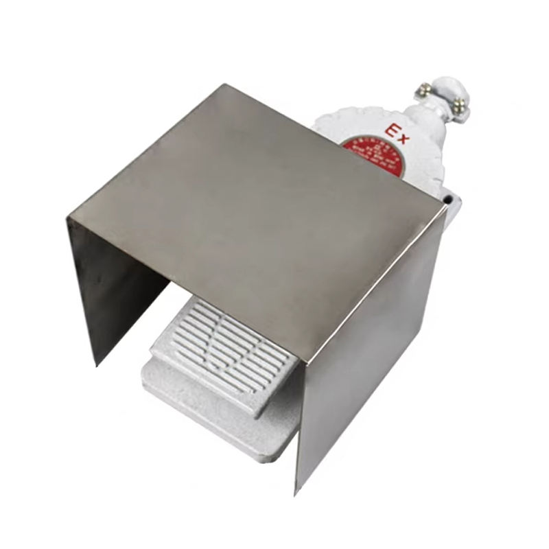 IP65 WF1 Corrosion-Resistant Explosion-Proof Foot Switch with ...