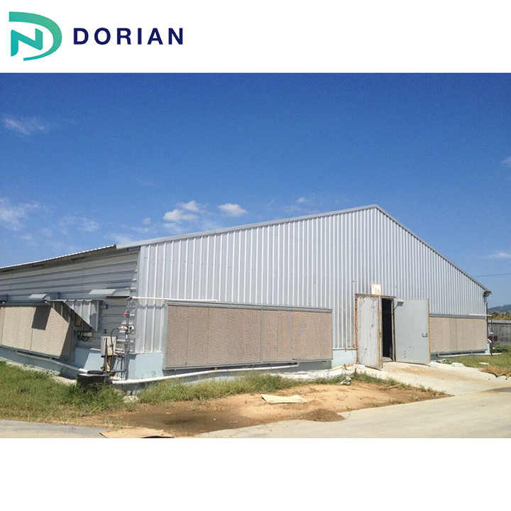 Steel Structure Farm Broiler Poultry Houses Construction Design