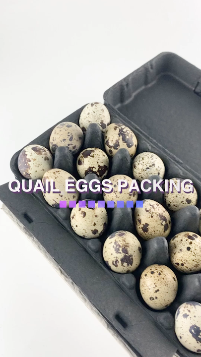 Biodegradable Quail Egg Boxes - Sustainable Packaging