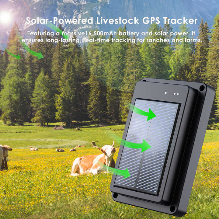 20000mAh 4G 2G Cow GPS Tracker Solar Charging GPS Tracker for Big Animals Waterproof IP67 ...