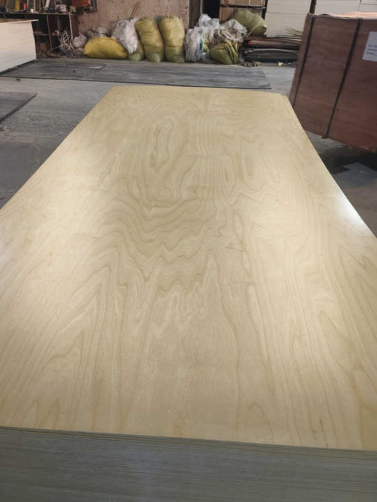 4x8 Prefinished Birch Plywood - Ideal for Kitchen Cabinets