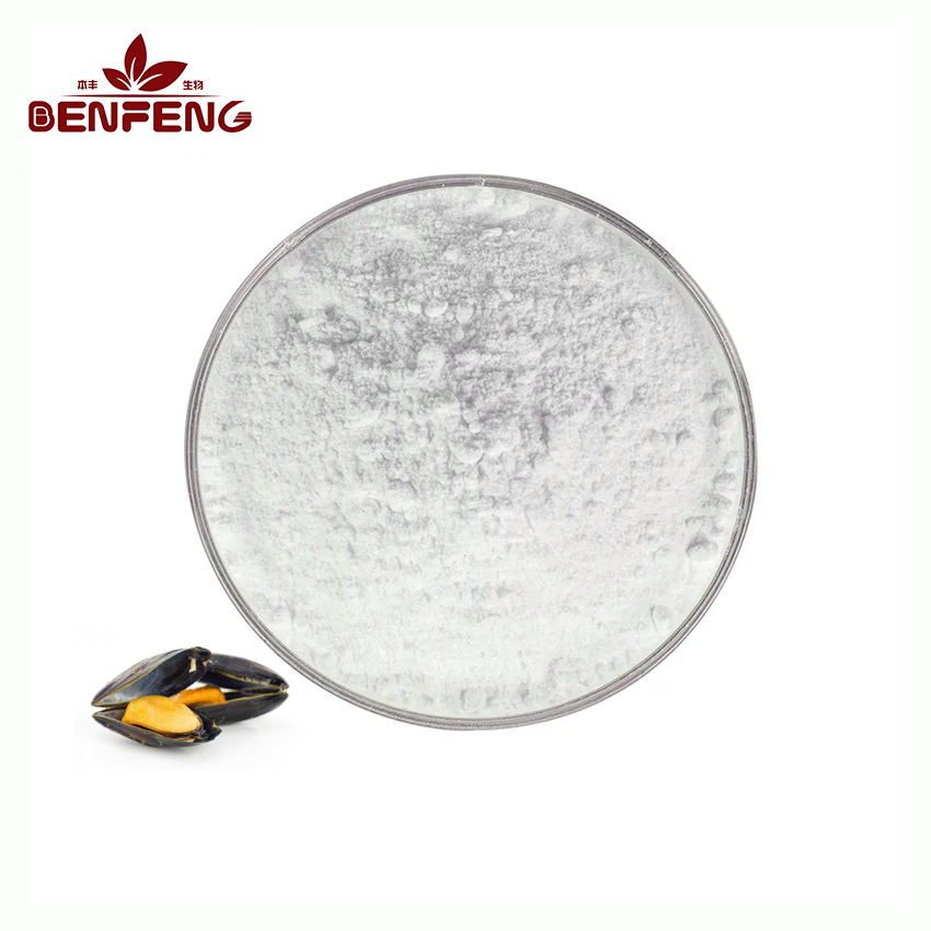 High Quality Mussel Adhesive Protein Powder MAP 99% Mussel Adhesive ...