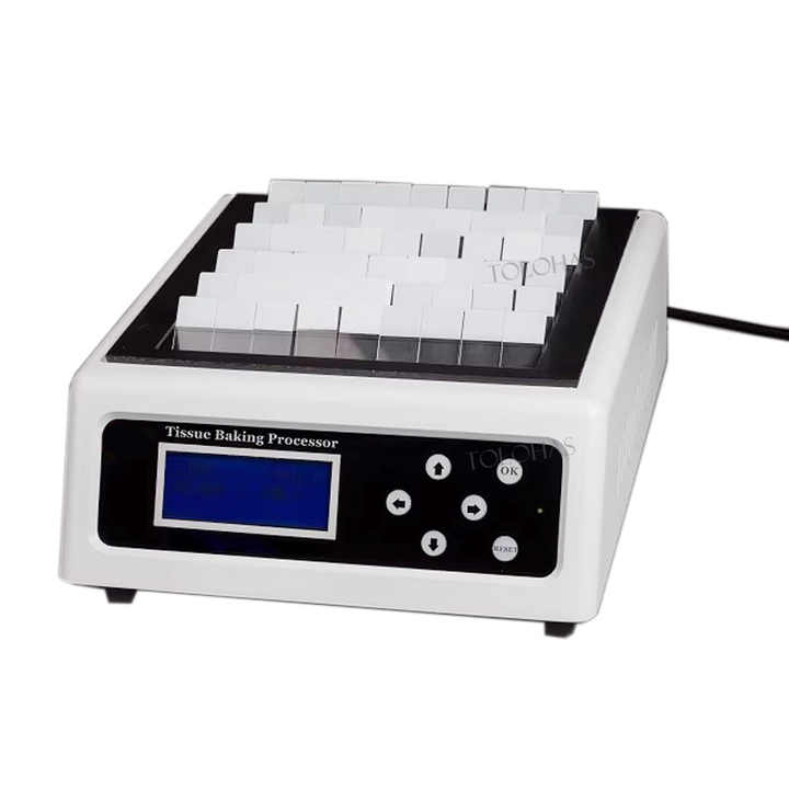 LHBYDBH Pathology Histology Machine Tissue Slide Warmer Dryer Lab ...