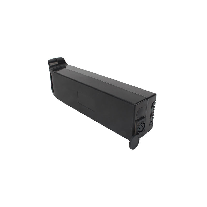 W5521 24V 10ah Lithium Ion Battery Pack for Electric Vehicles