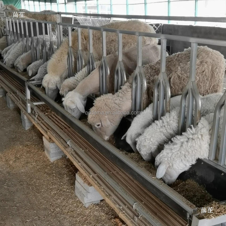 Flip Dump Sheep Goat Positioning Feeding Trough Feeder With Fence | End ...