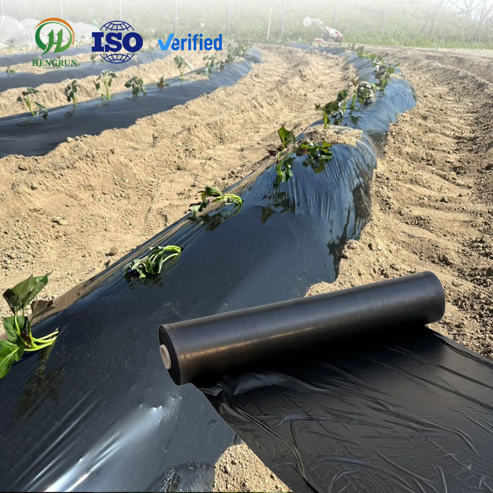 Black Agricultural PE Mulch Film Anti-Weed Control Pesticides ...