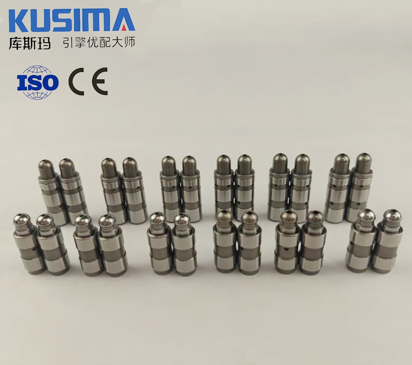 Rendimiento Preciso del Motor con Soluciones de Alta Calidad pentaszar 3,6l